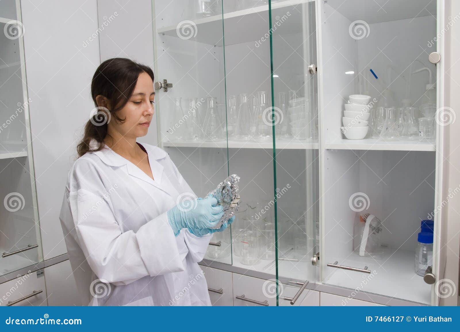 Work in laboratory stock image. Image of immunology, experimental - 7466127
