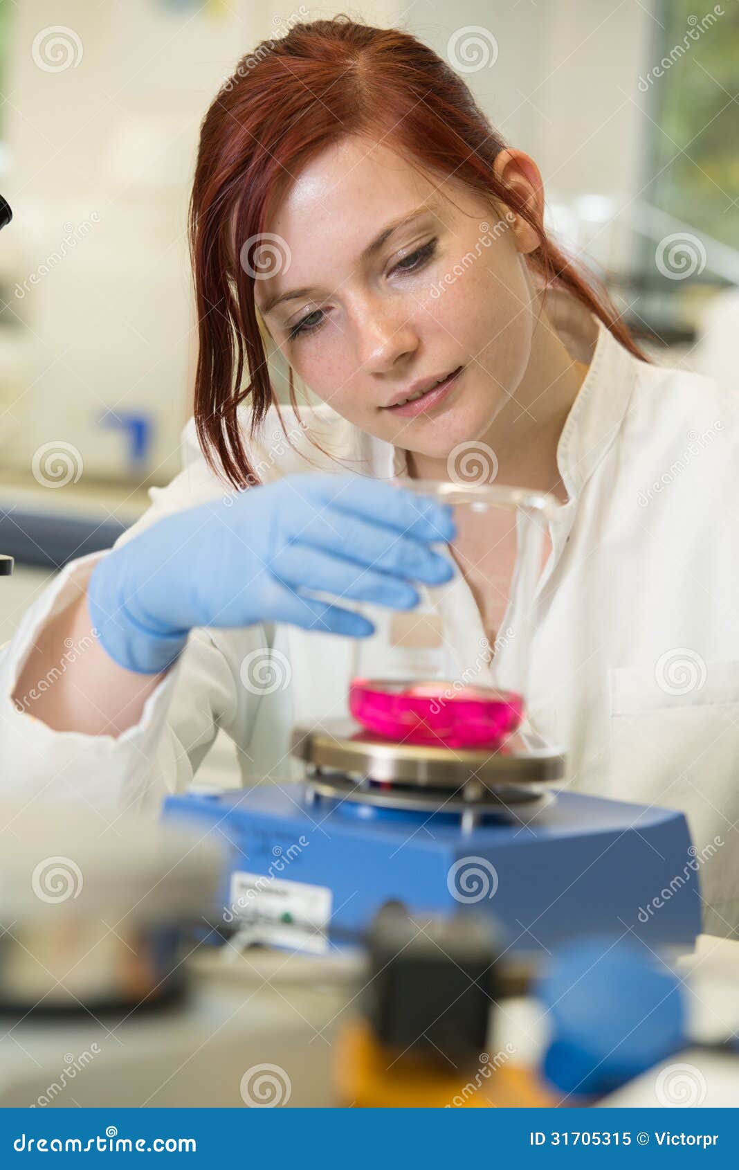 Work in laboratory stock image. Image of laboratory, study - 31705315