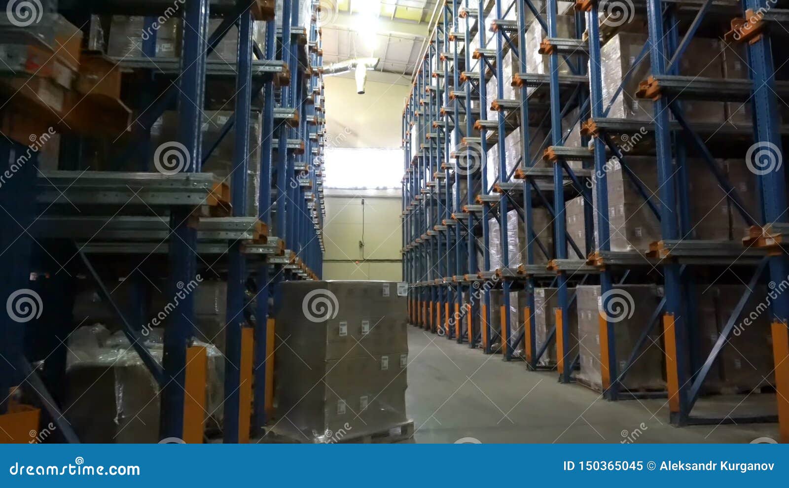 Work of Loaders on Loading Pallets with Cardboard Boxes Stock Video ...