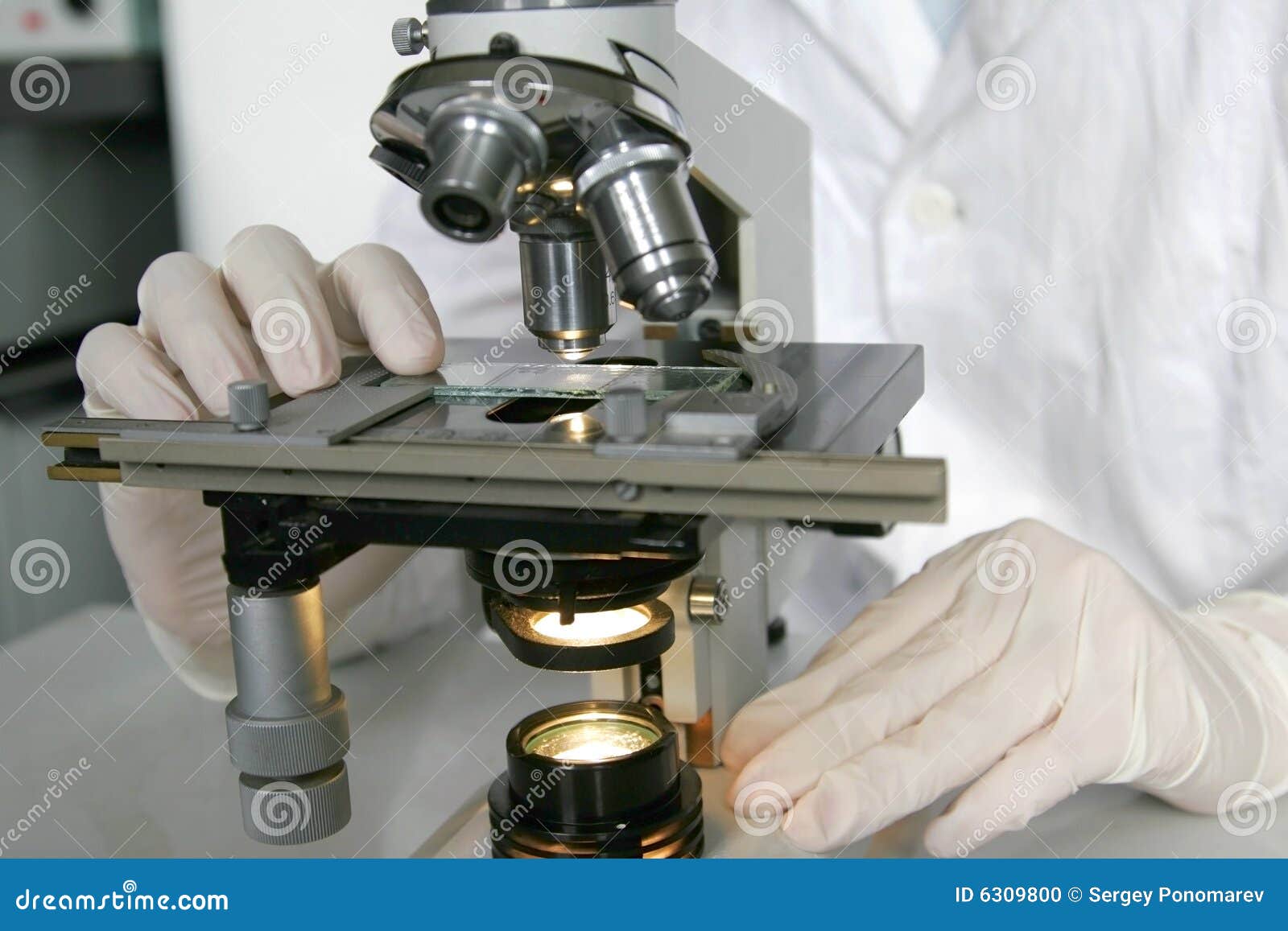 Work With A Microscope Stock Photography | CartoonDealer.com #6309800