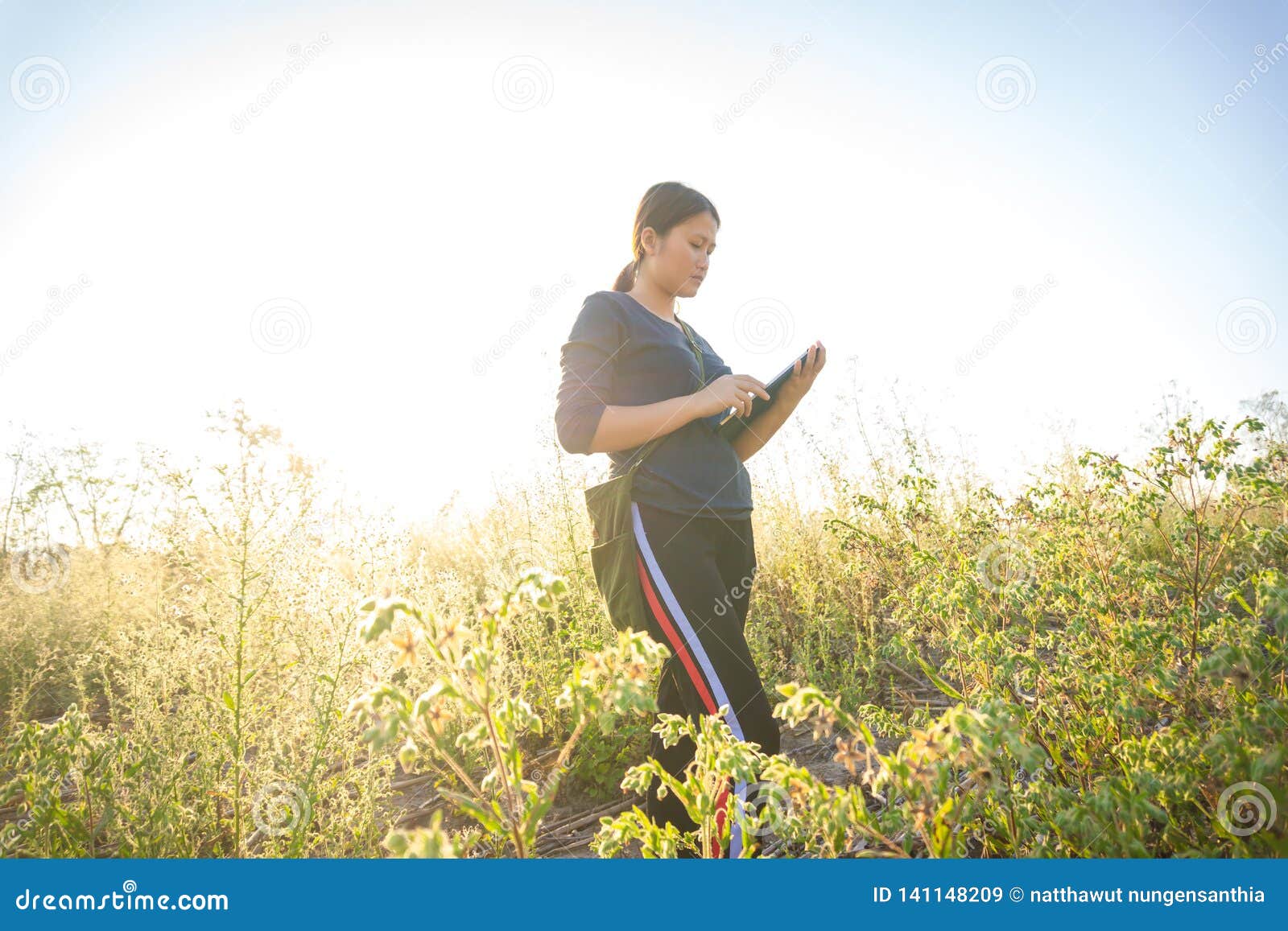 Work Outside the Office, Where You Can Work Stock Image - Image of ...