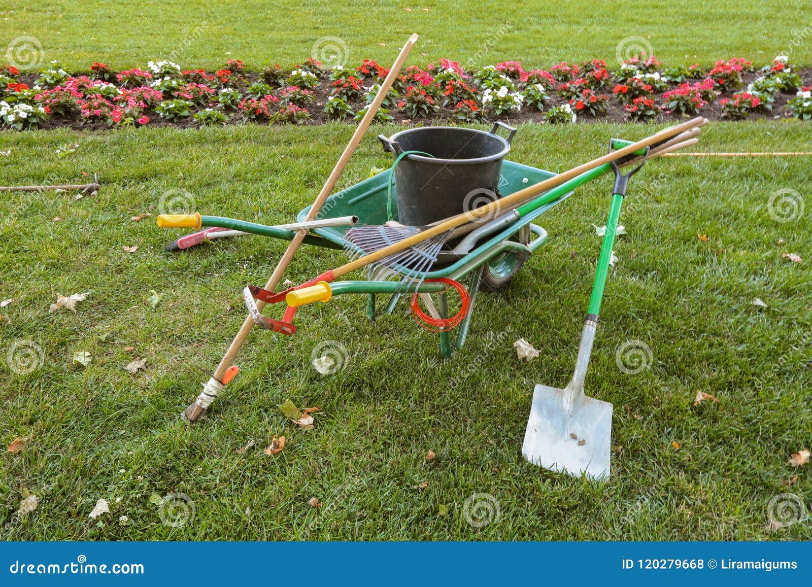 Work in the park stock photo. Image of grass, wheelbarrow - 120279668