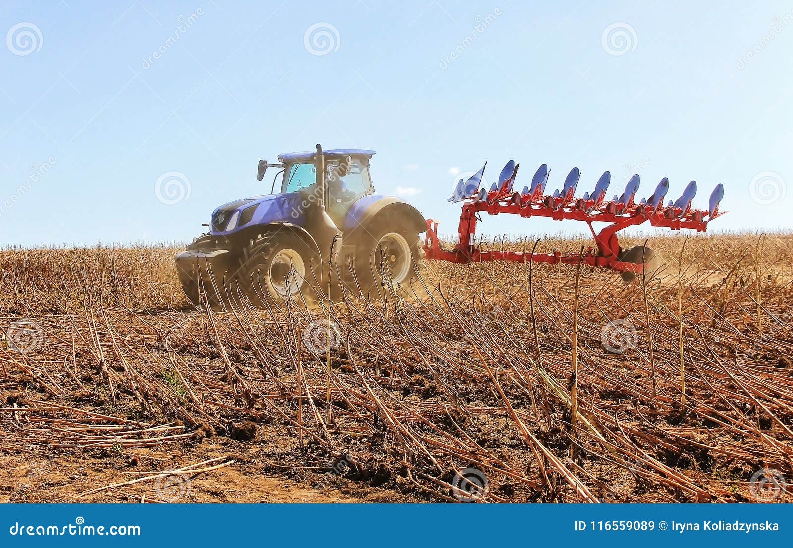 Work of a Powerful Tractor in Field Cultivation and Cultivation. Stock ...
