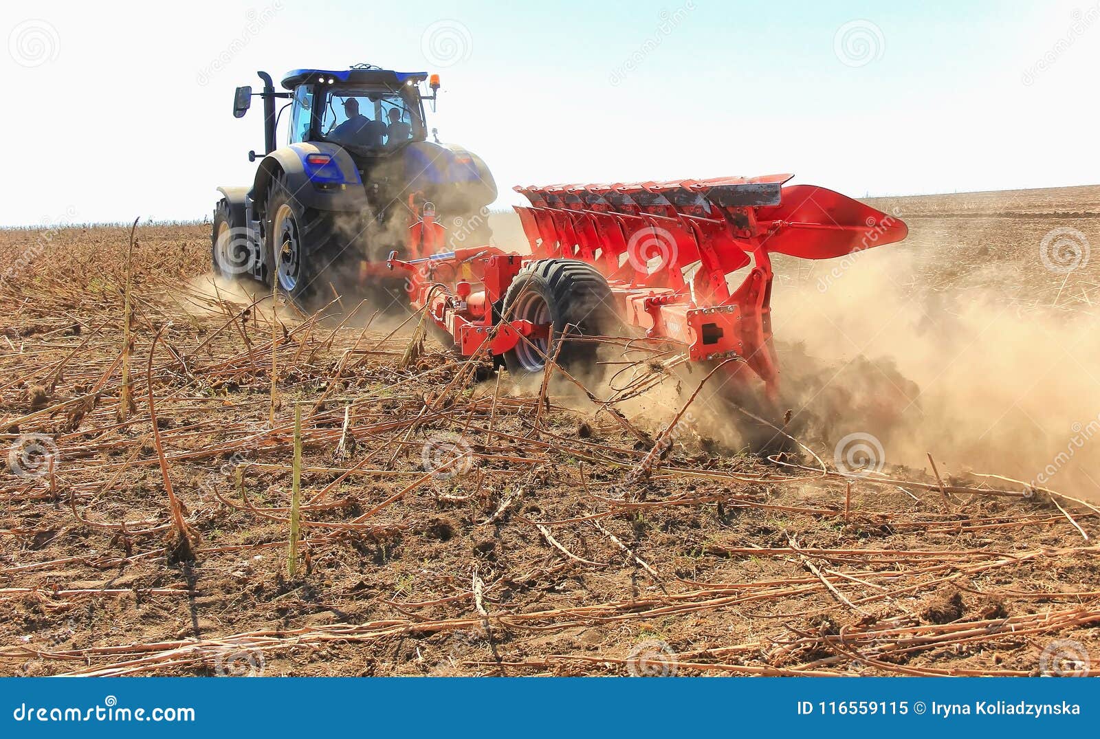 Work Of A Powerful Tractor In Field Cultivation And Cultivation ...