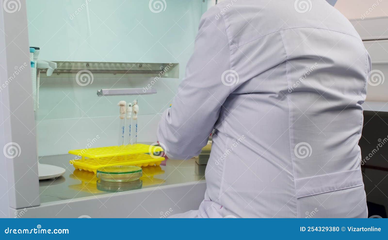 Work on Samples of Substances is Carried Out in the Laboratory Stock ...