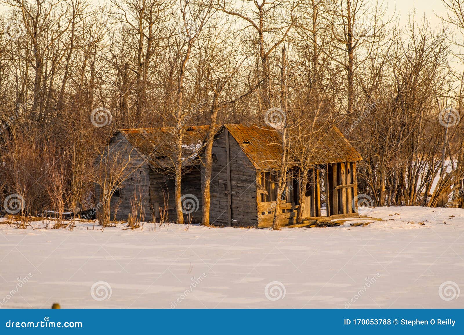 Work shack in the paraies stock photo. Image of shack - 170053788