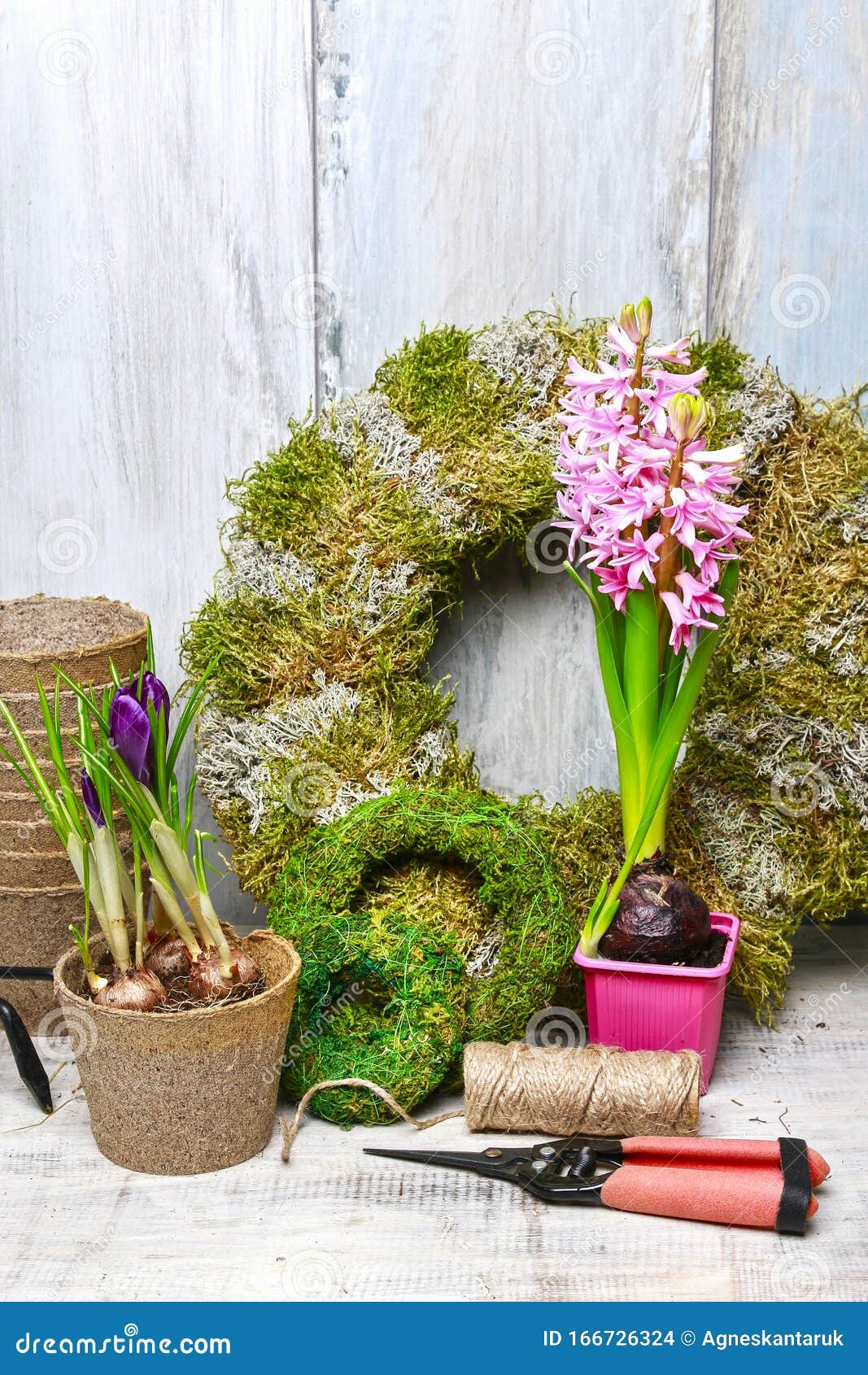 Work in Spring Garden: Plants and Tools Stock Photo - Image of ...