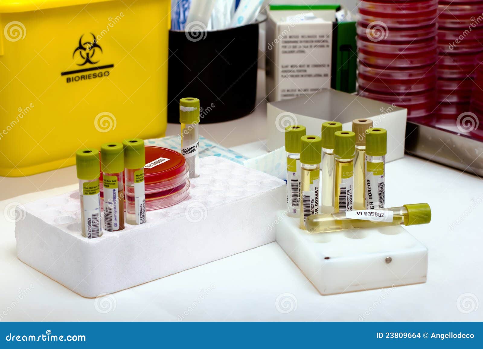 Workbench Laboratory with Tubes and Plates Stock Photo - Image of ...