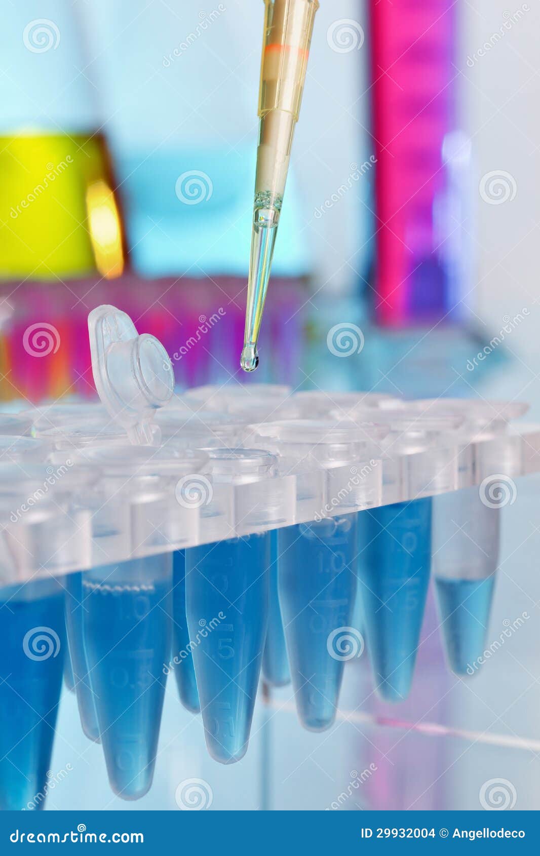 Laboratory Pipette with Drop of Blue Reagent Over Tubes Rack Stock ...
