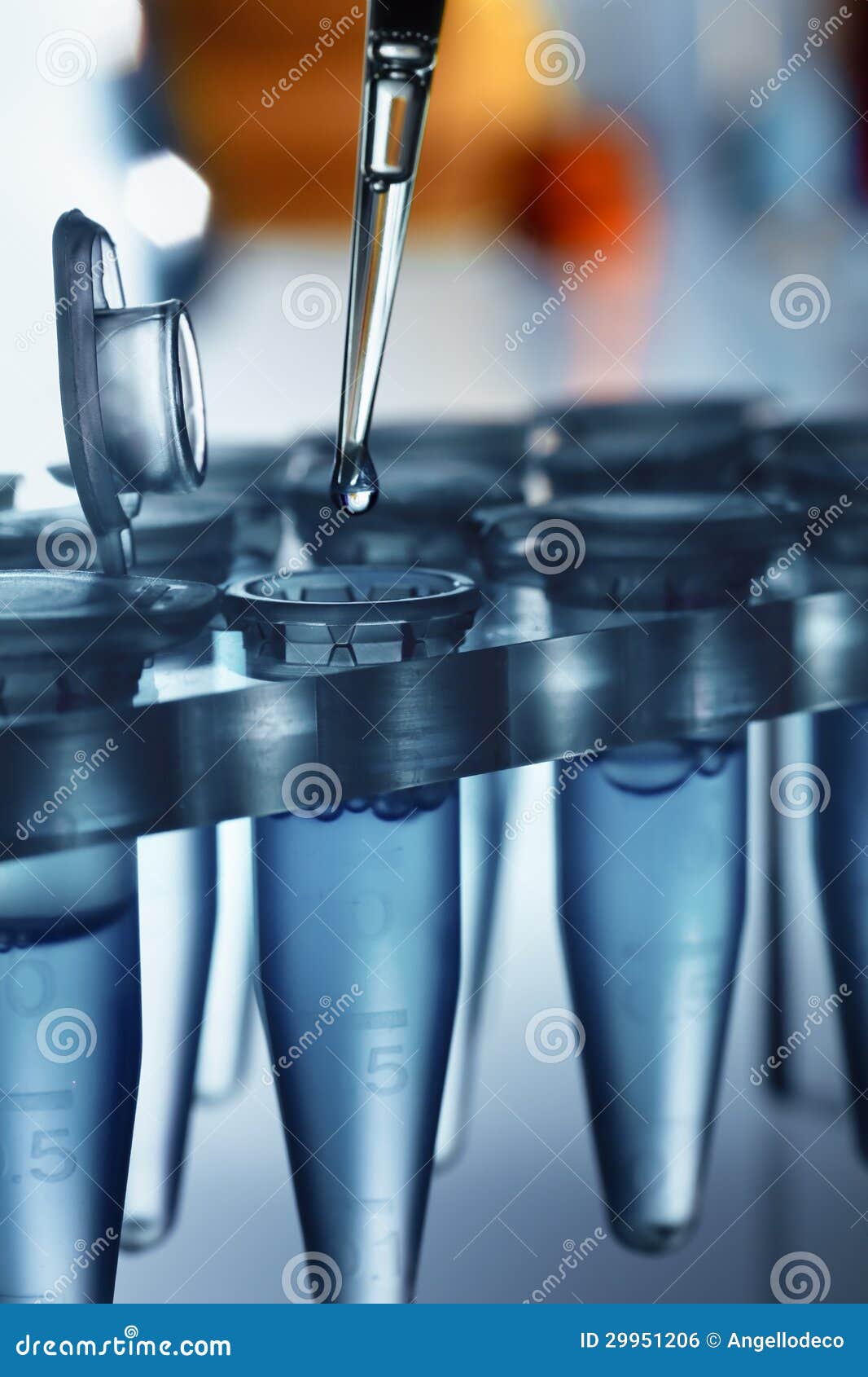Detail of a Laboratory Pipette with Drop Over Tubes Rack Stock Photo ...
