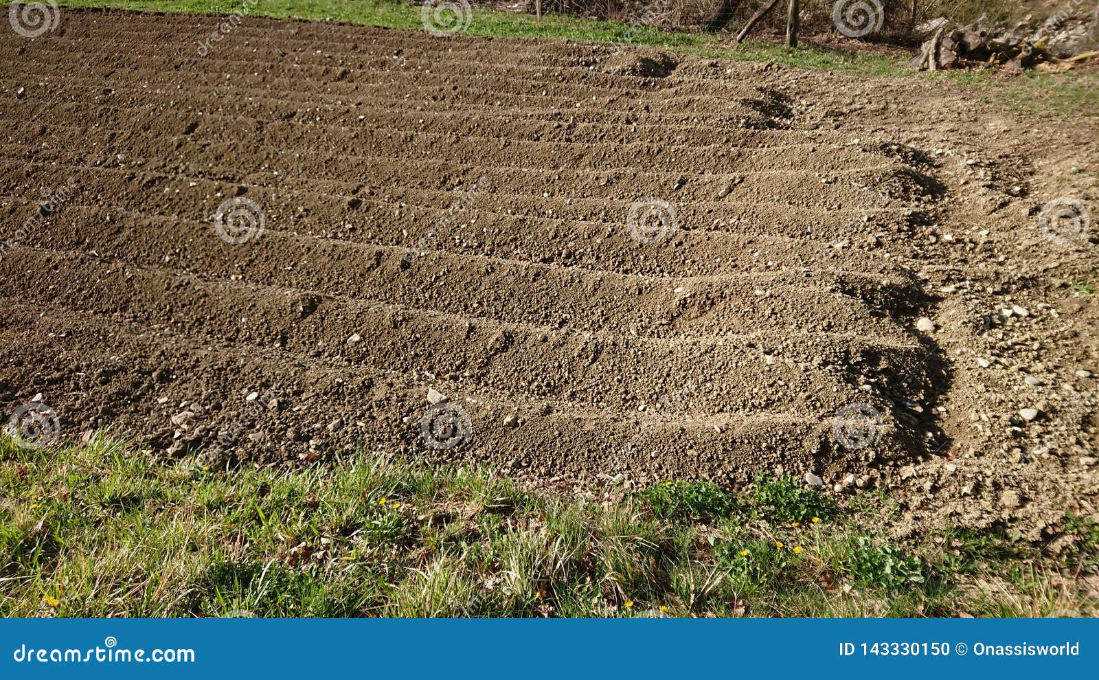 Farmers land stock photo. Image of field, farmers, worked - 143330150