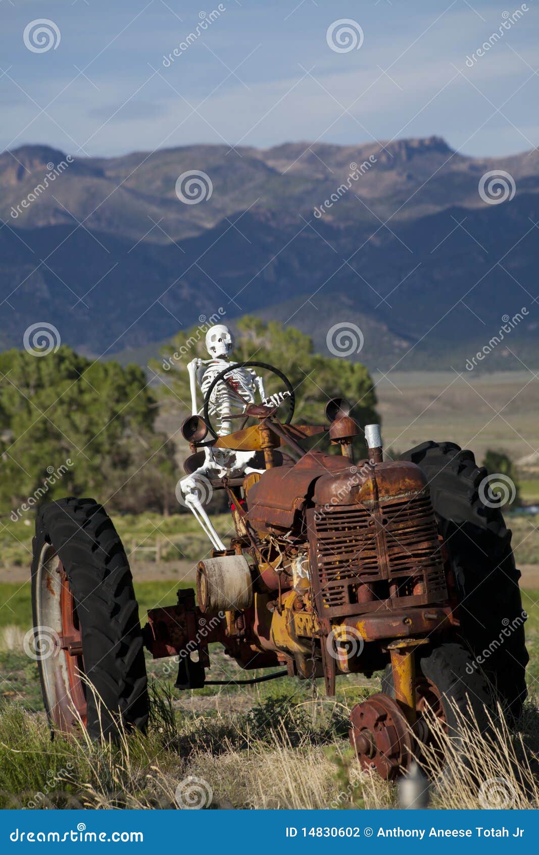 Worked to Death stock photo. Image of hard, dead, rustic - 14830602