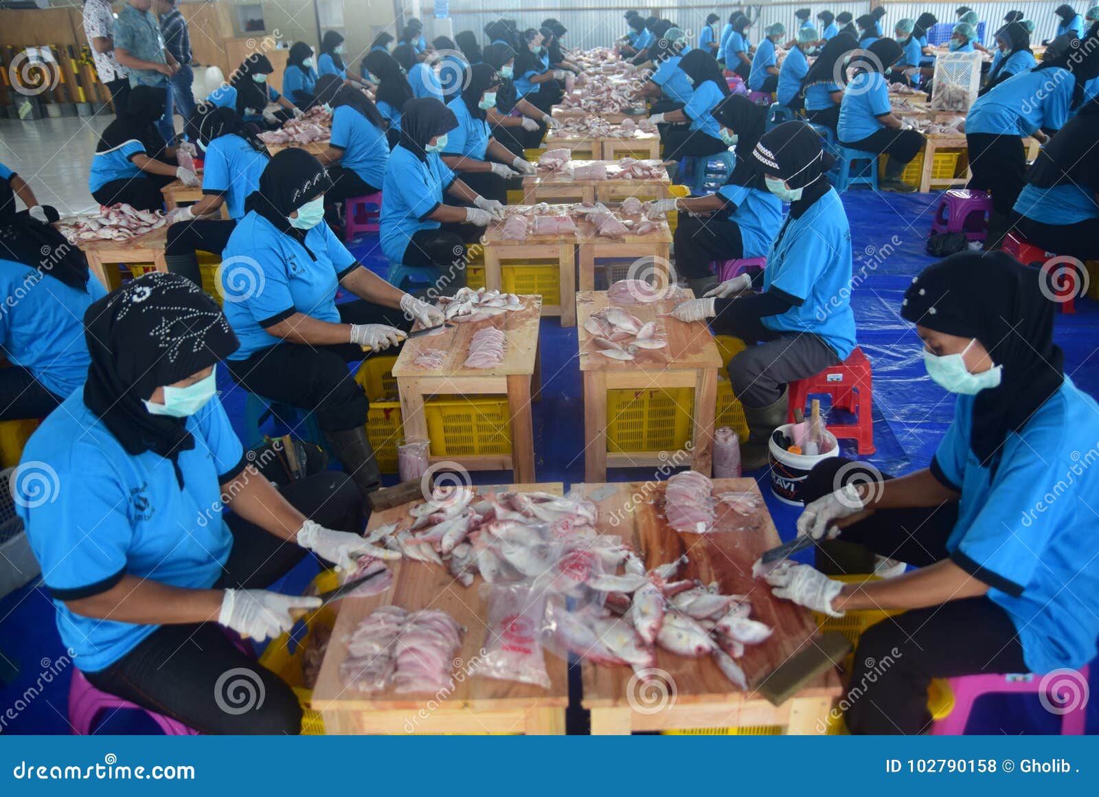 Cutter Fish Meat Production Filet Editorial Stock Photo - Image of cold ...