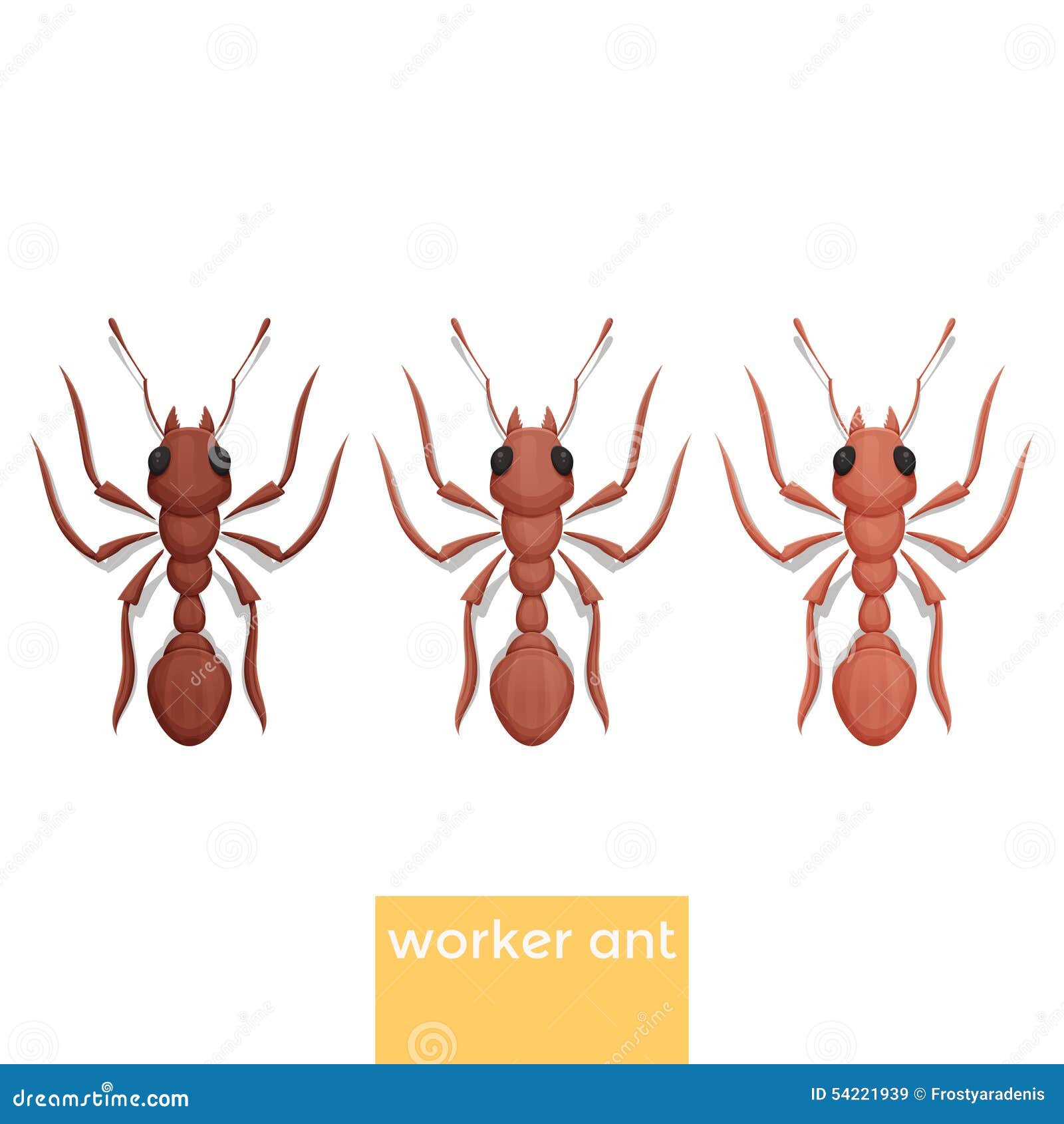 Worker Ant stock vector. Illustration of graphic, isolated - 54221939