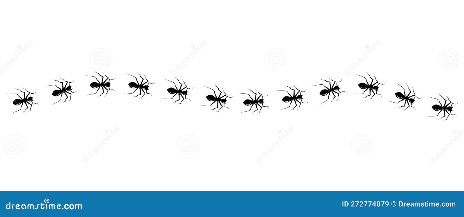 Ants Trail Circle Frame, Line Of Working Ants On White Background ...