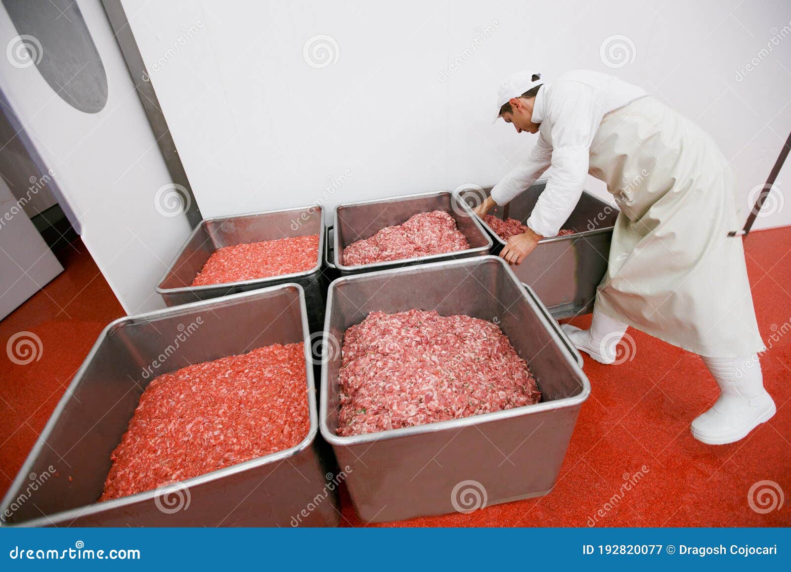 A Worker Arranged Meat Minced in an Industrial Process in a Stainless ...