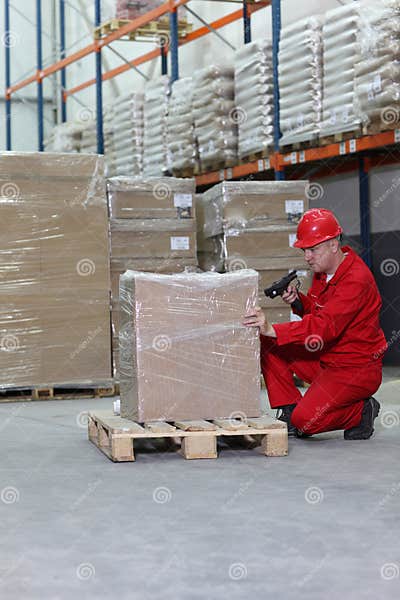 Worker with Bar Code Reader Working in Warehouse Stock Photo - Image of ...