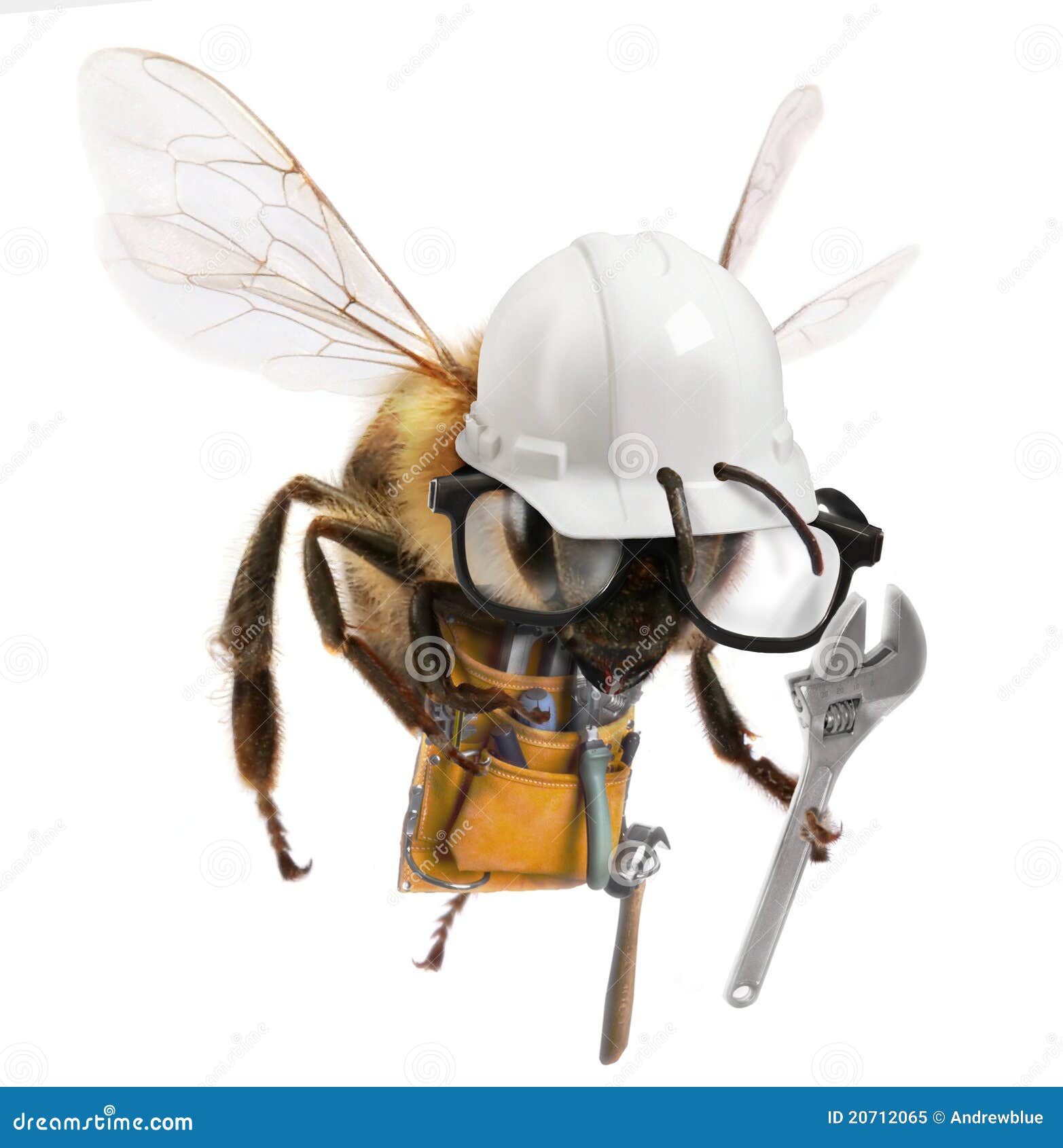 Worker Bee stock image. Image of construction, insect - 20712065