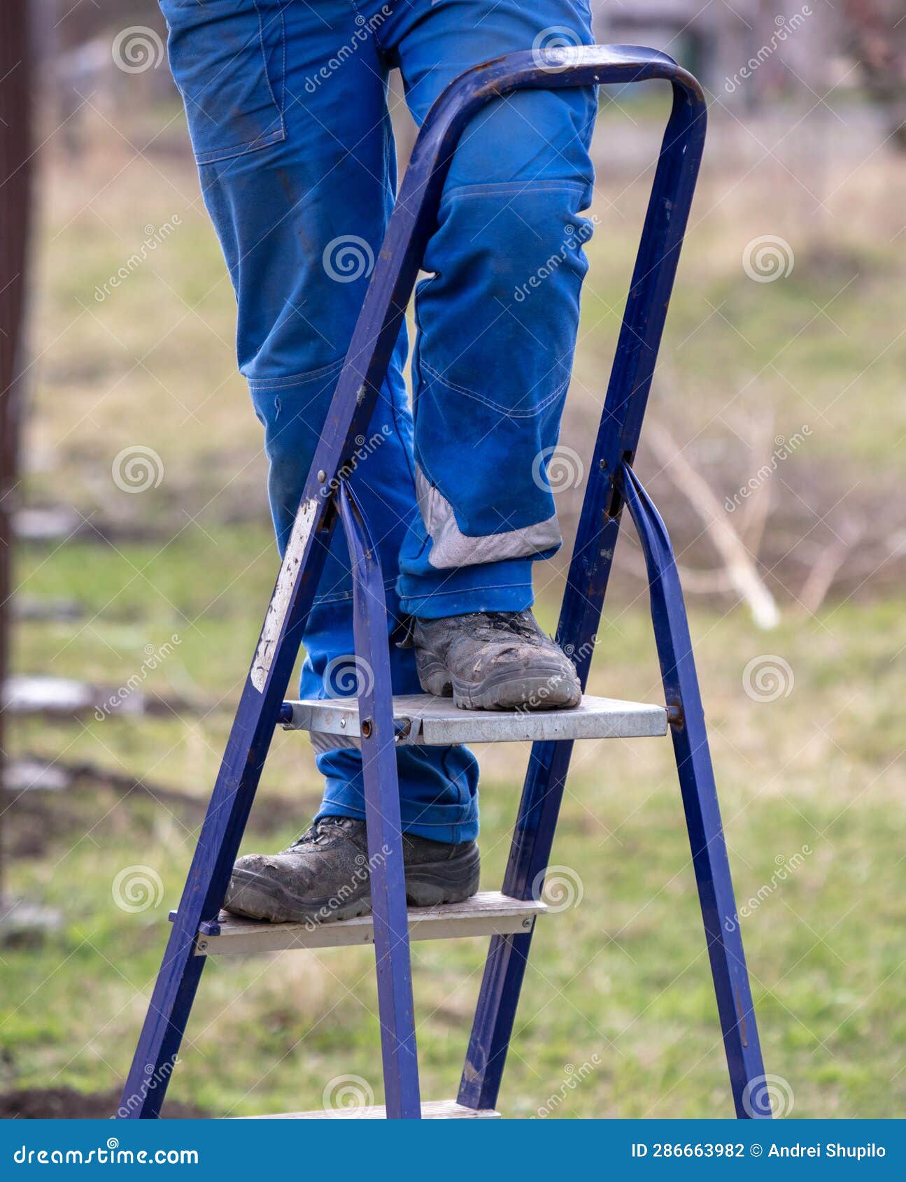 Worker in Blue Overalls Stands on a Metal Ladder in the Yard Stock ...