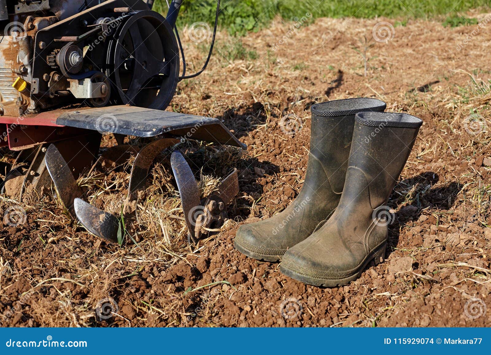 Worker Boots and Motor Cultivator on Soil. Stock Photo - Image of ...
