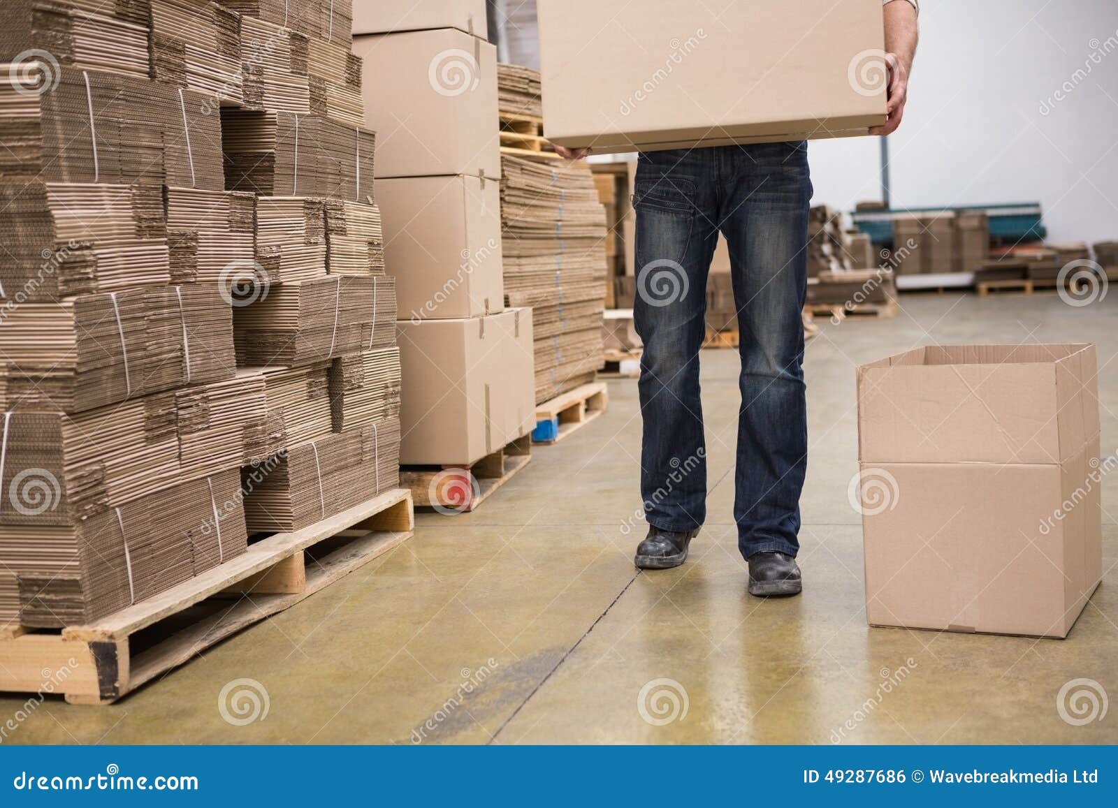 Worker with Box in Warehouse Stock Photo - Image of storage, delivery ...