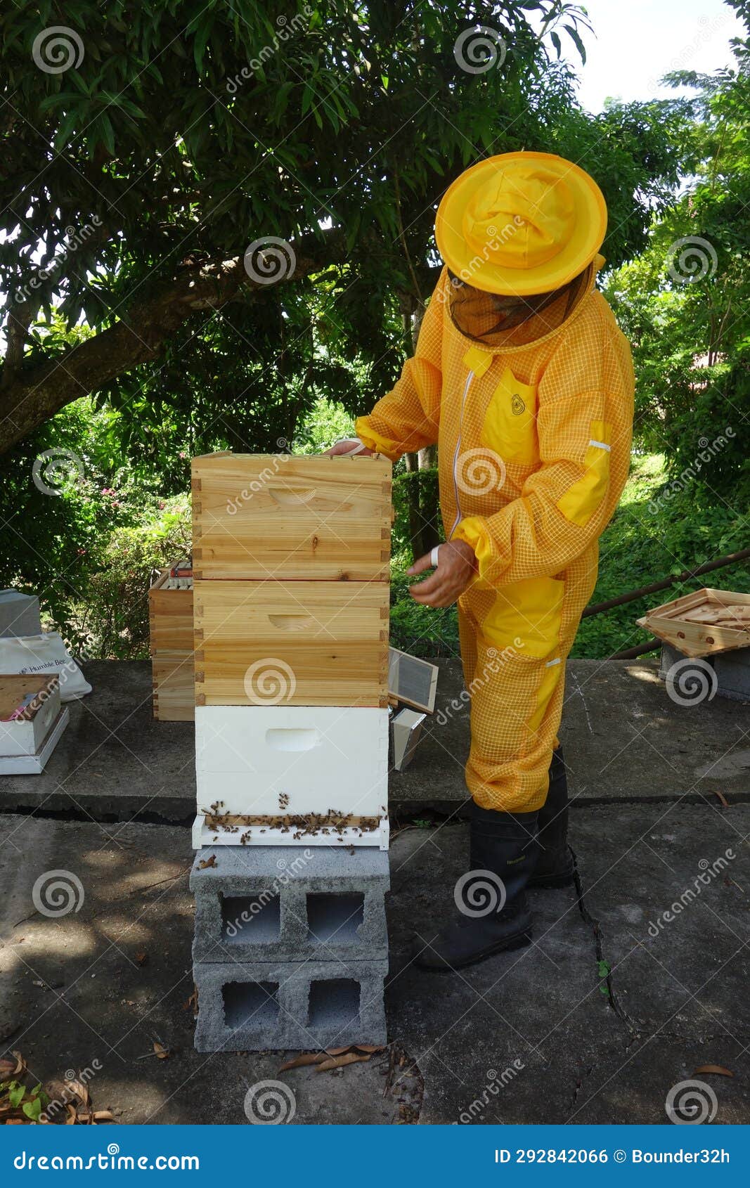 A Beekeeper Placing a Flow Hive on Top of a Brooder Box at an Apiary in ...