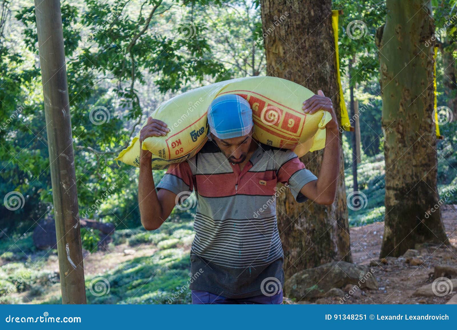 Worker Carry a Heavy Sack on His Shoulders Editorial Photo - Image of ...
