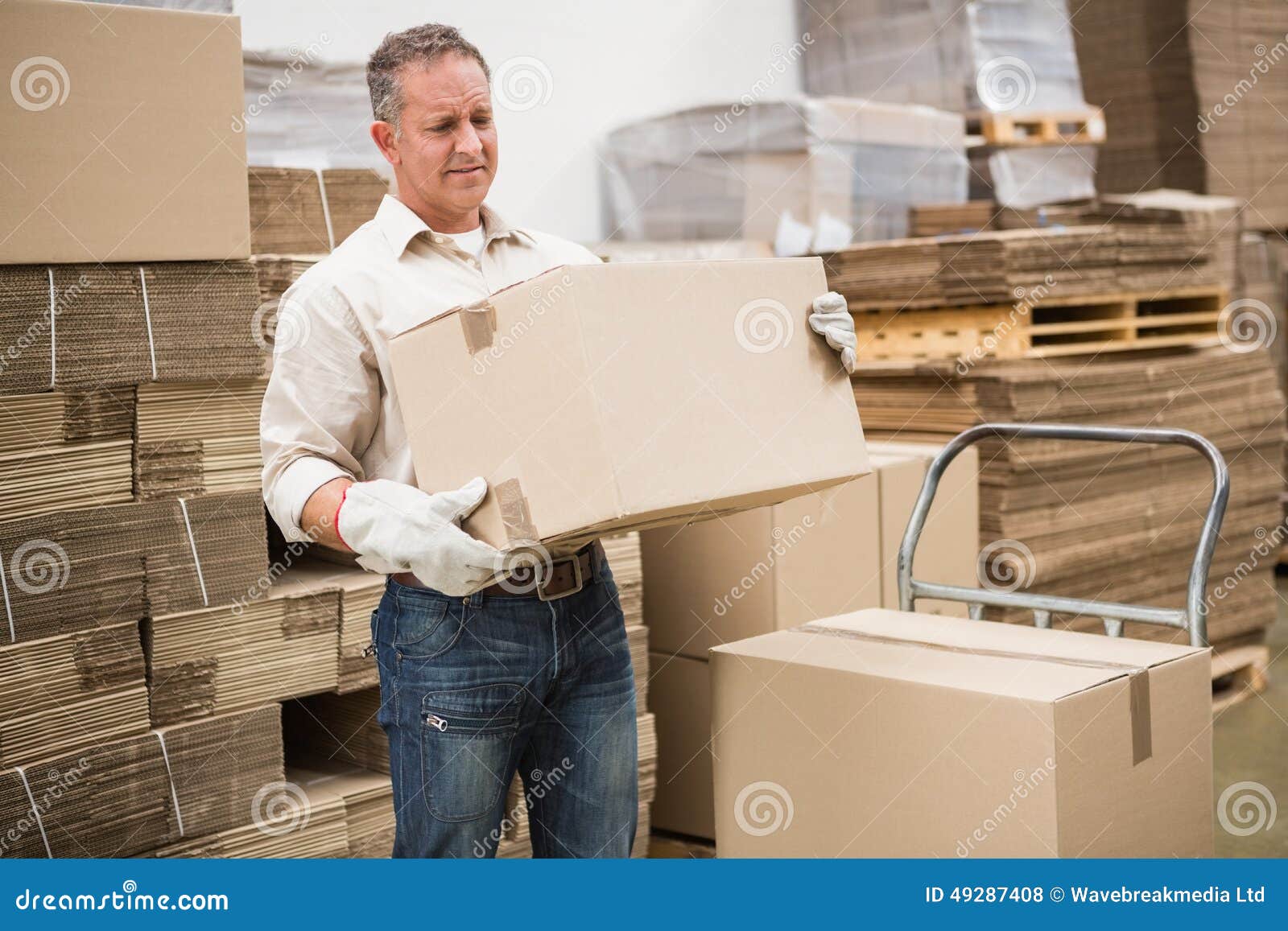 Worker Carrying Box in Warehouse Stock Photo - Image of delivery ...
