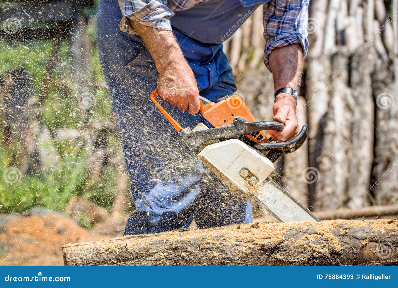 Worker with Chainsaw Cutting Wood Stock Image - Image of wood, machine ...