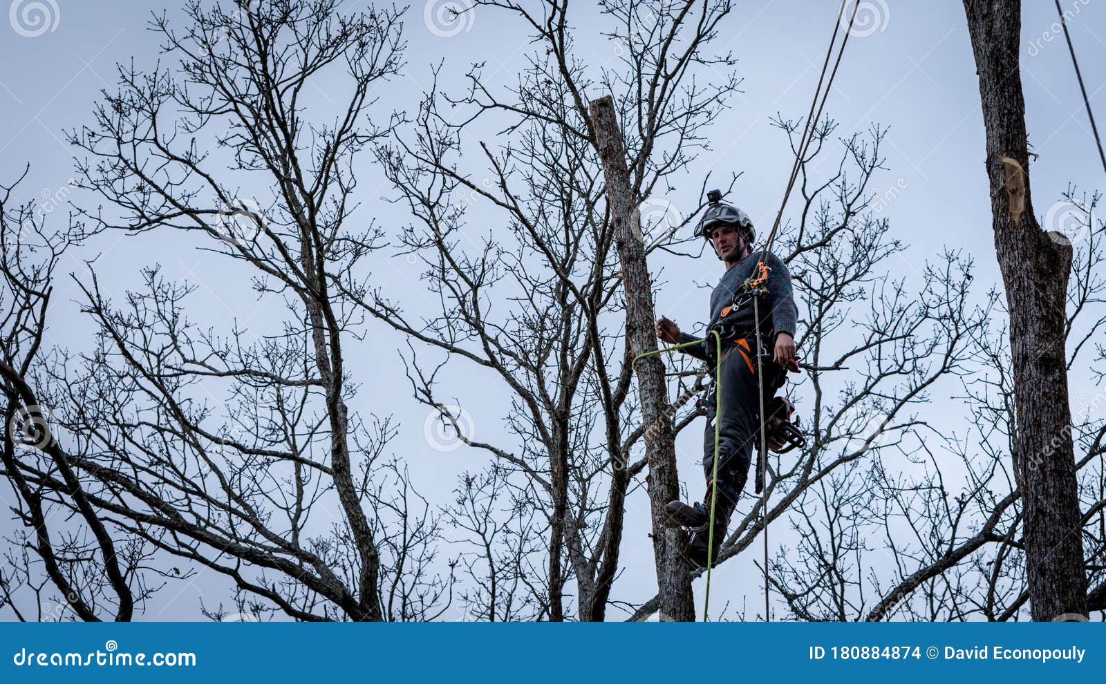 Worker with Chainsaw and Helmet Cutting Down Tree Stock Photo - Image ...