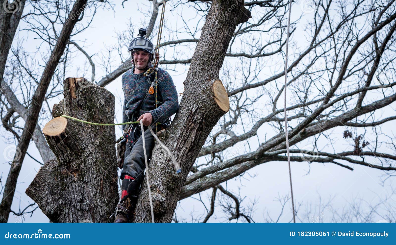 Worker with Chainsaw and Helmet Cutting Down Tree Stock Image - Image ...