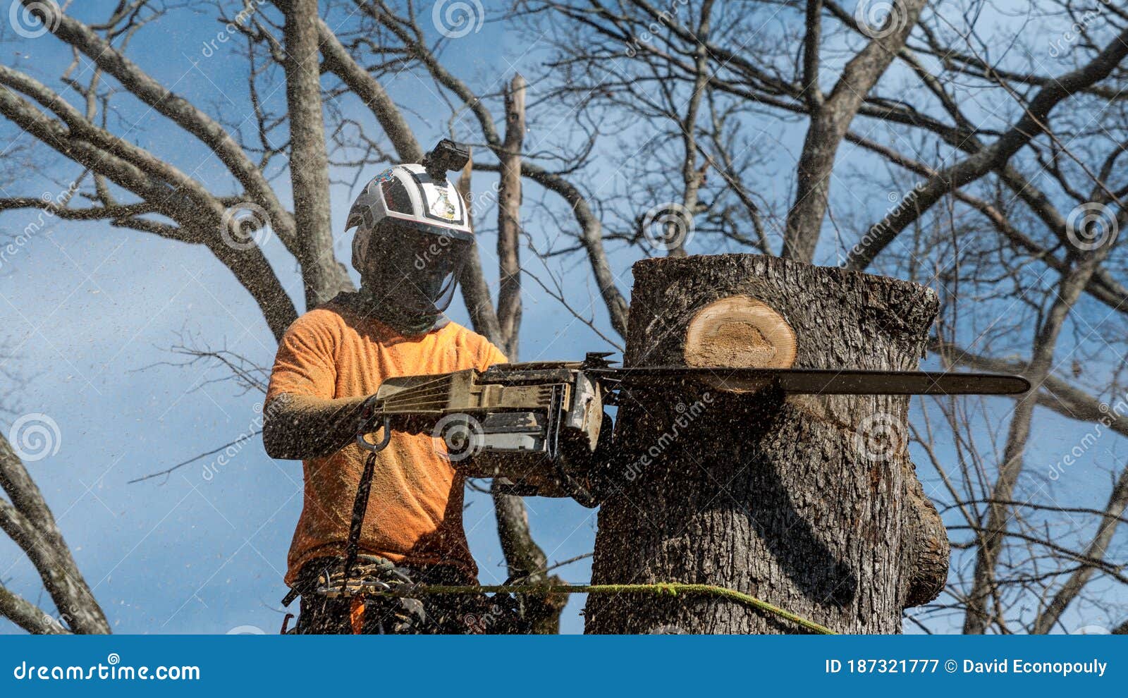 Worker with Chainsaw and Helmet Cutting Down Tree Stock Image - Image ...