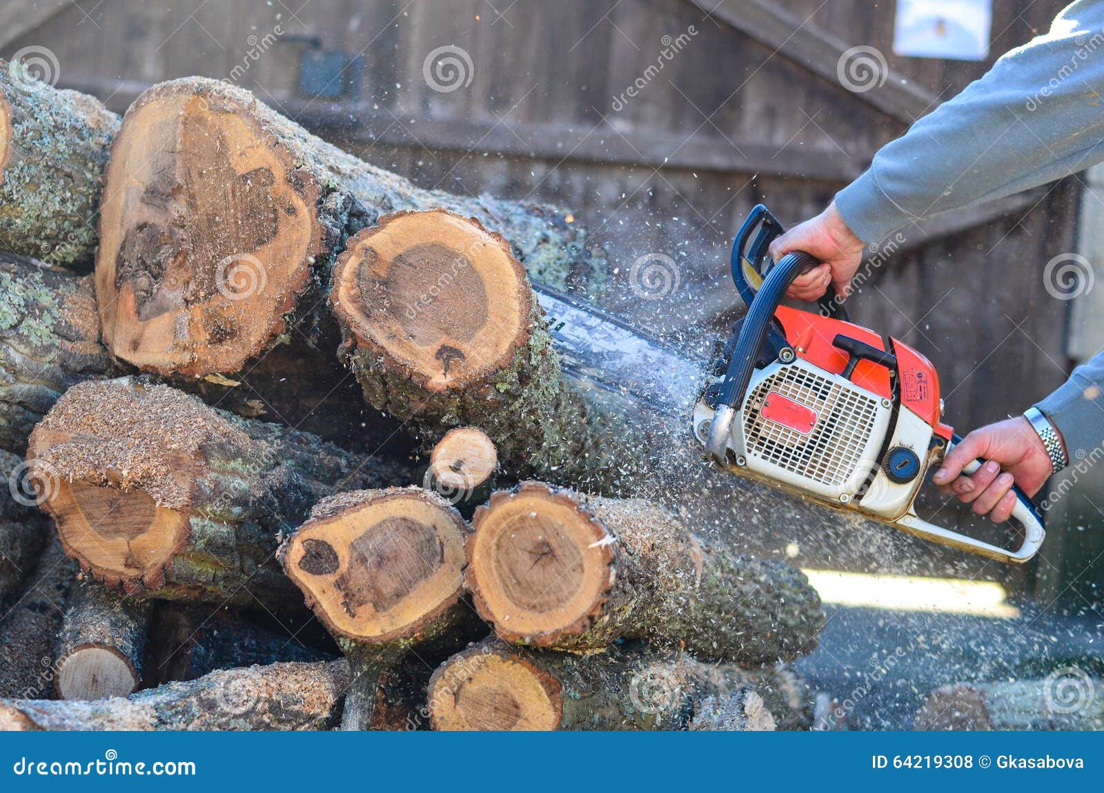 Worker with Chainsaw stock photo. Image of hardhat, logger - 64219308
