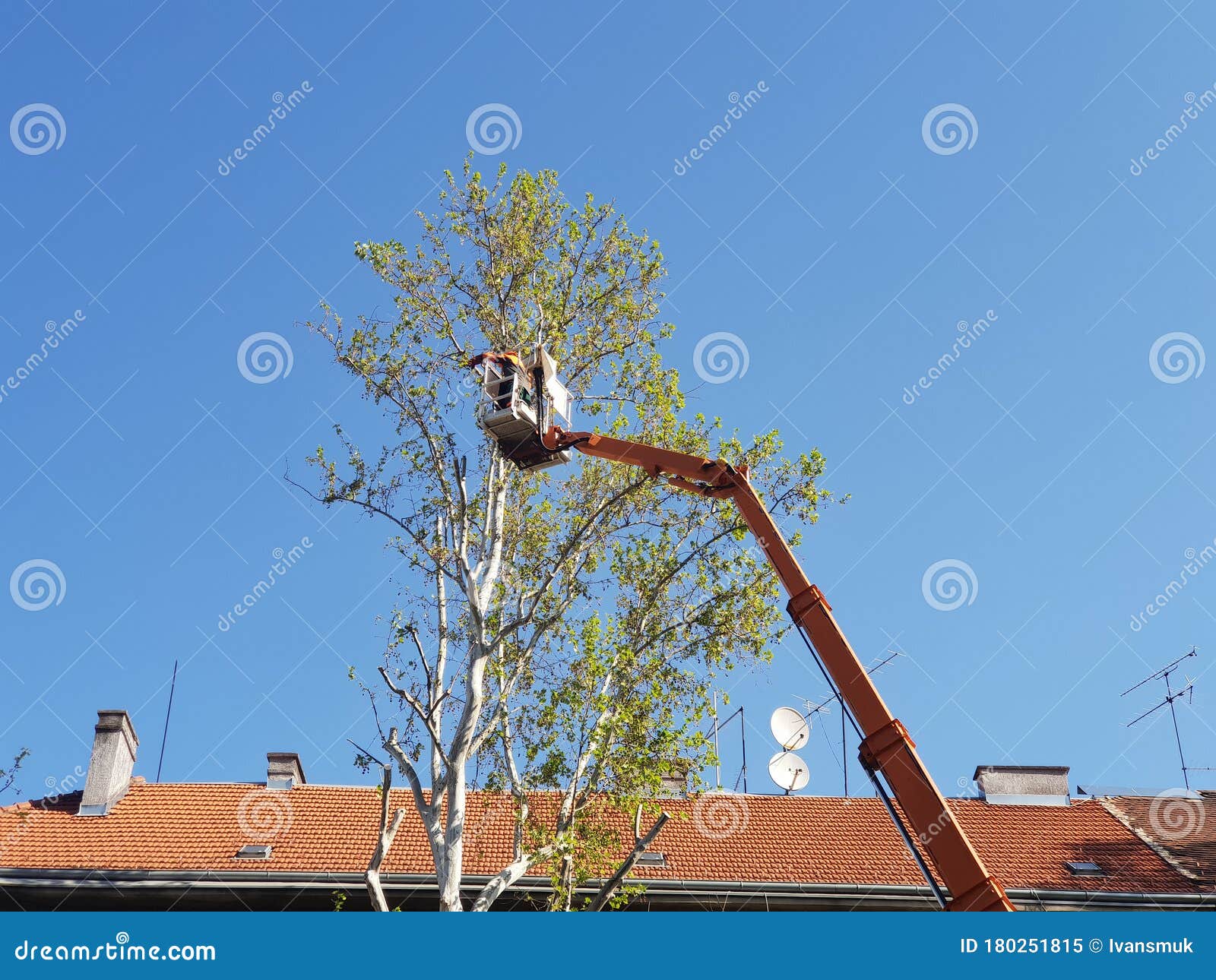 Worker with a Chainsaw Trimming the Tree Branches on the High Mobile ...