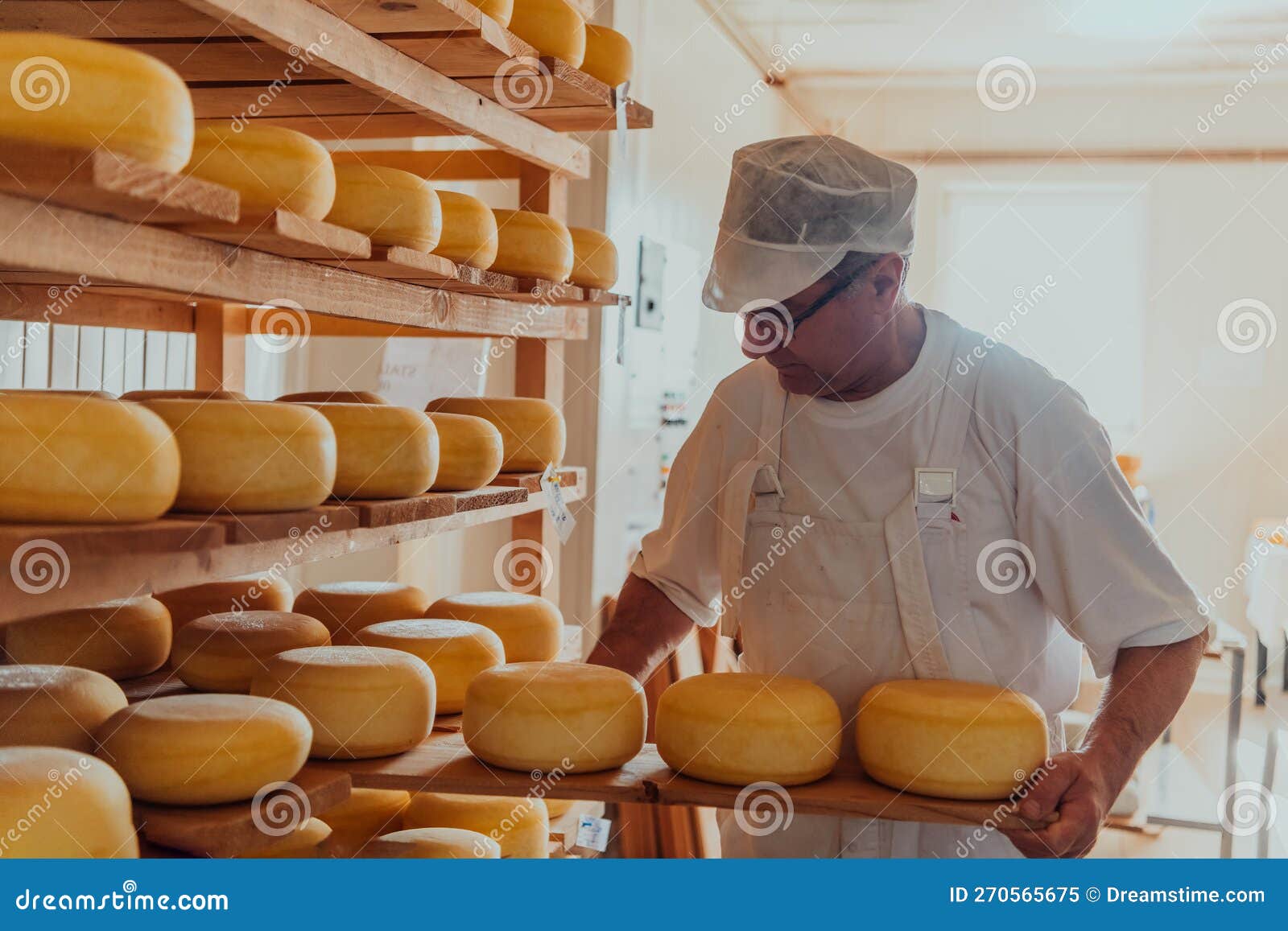 A Worker at a Cheese Factory Sorting Freshly Processed Cheese on Drying ...