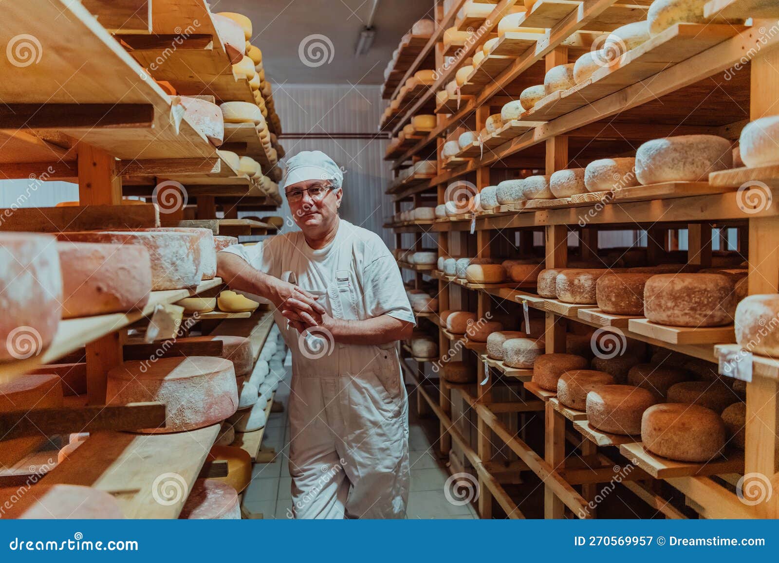A Worker at a Cheese Factory Sorting Freshly Processed Cheese on Drying ...