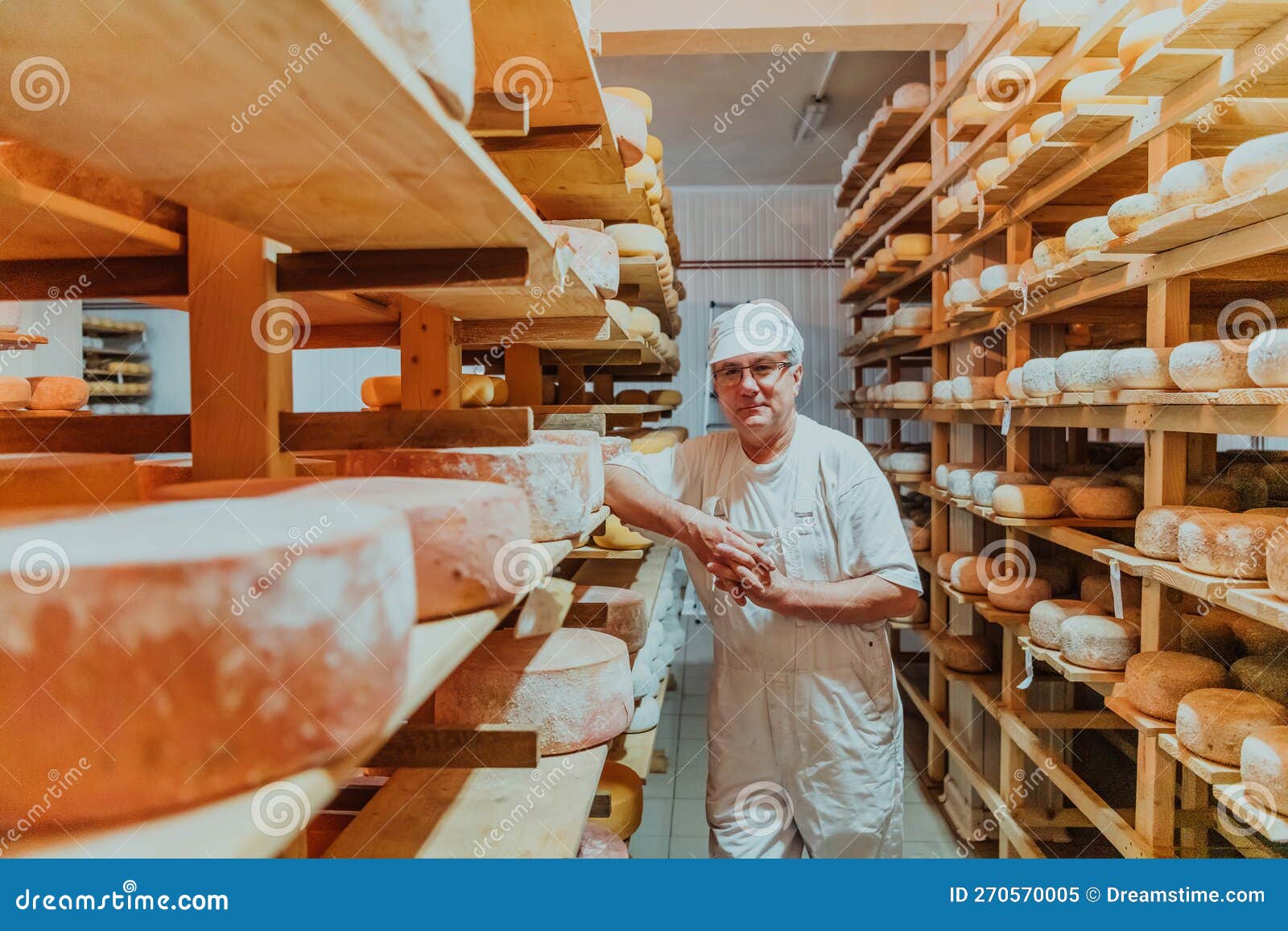 A Worker at a Cheese Factory Sorting Freshly Processed Cheese on Drying ...