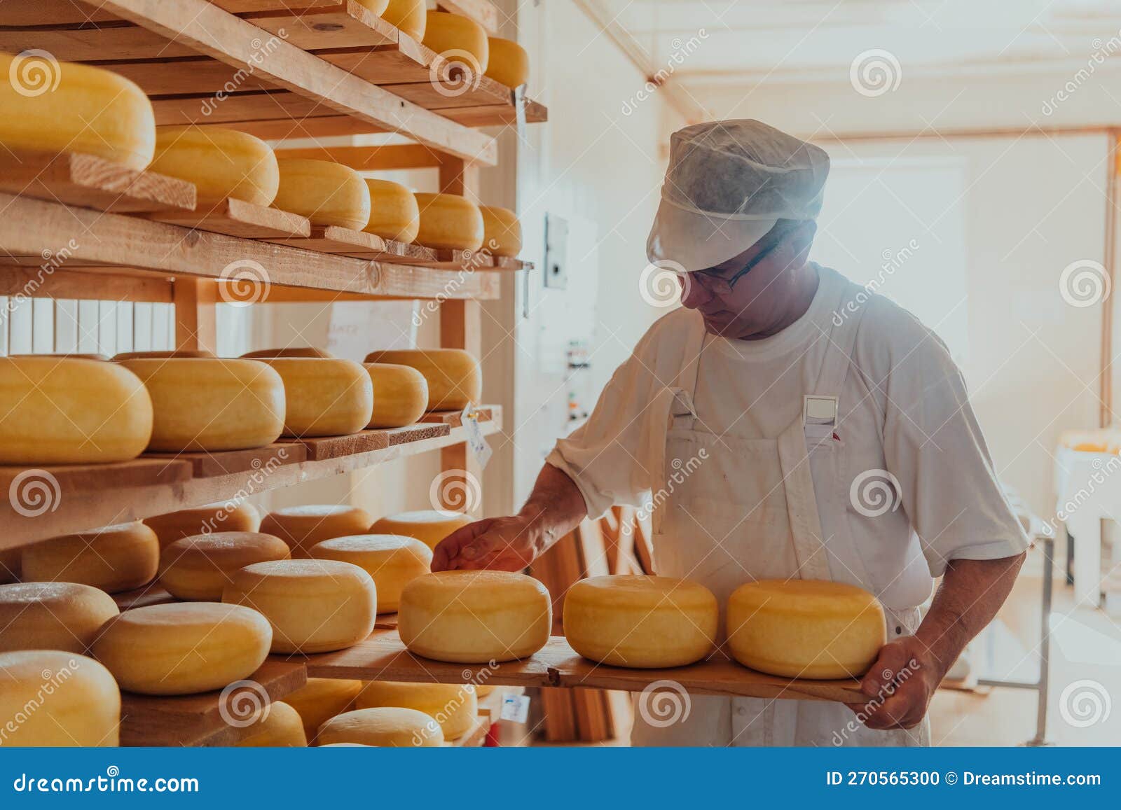 A Worker at a Cheese Factory Sorting Freshly Processed Cheese on Drying ...