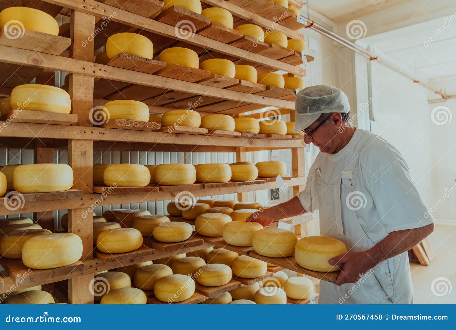 A Worker at a Cheese Factory Sorting Freshly Processed Cheese on Drying ...