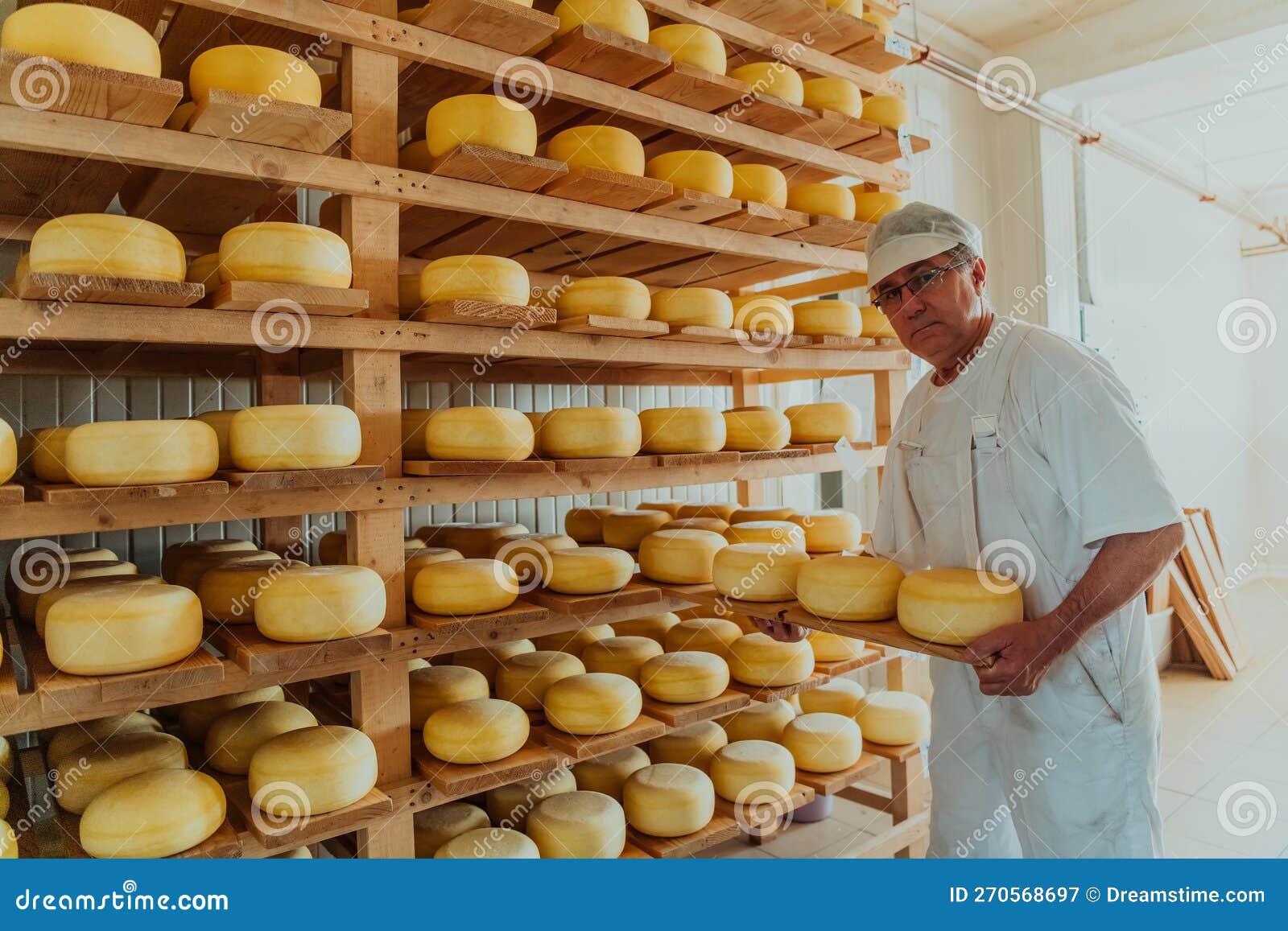 A Worker at a Cheese Factory Sorting Freshly Processed Cheese on Drying ...