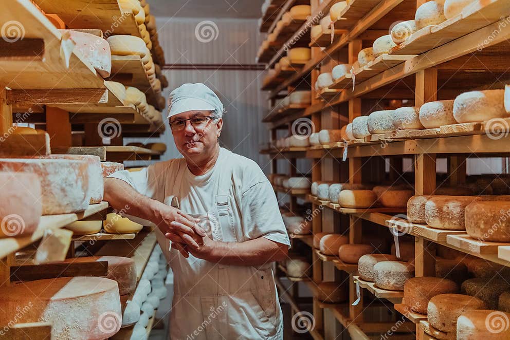A Worker at a Cheese Factory Sorting Freshly Processed Cheese on Drying ...