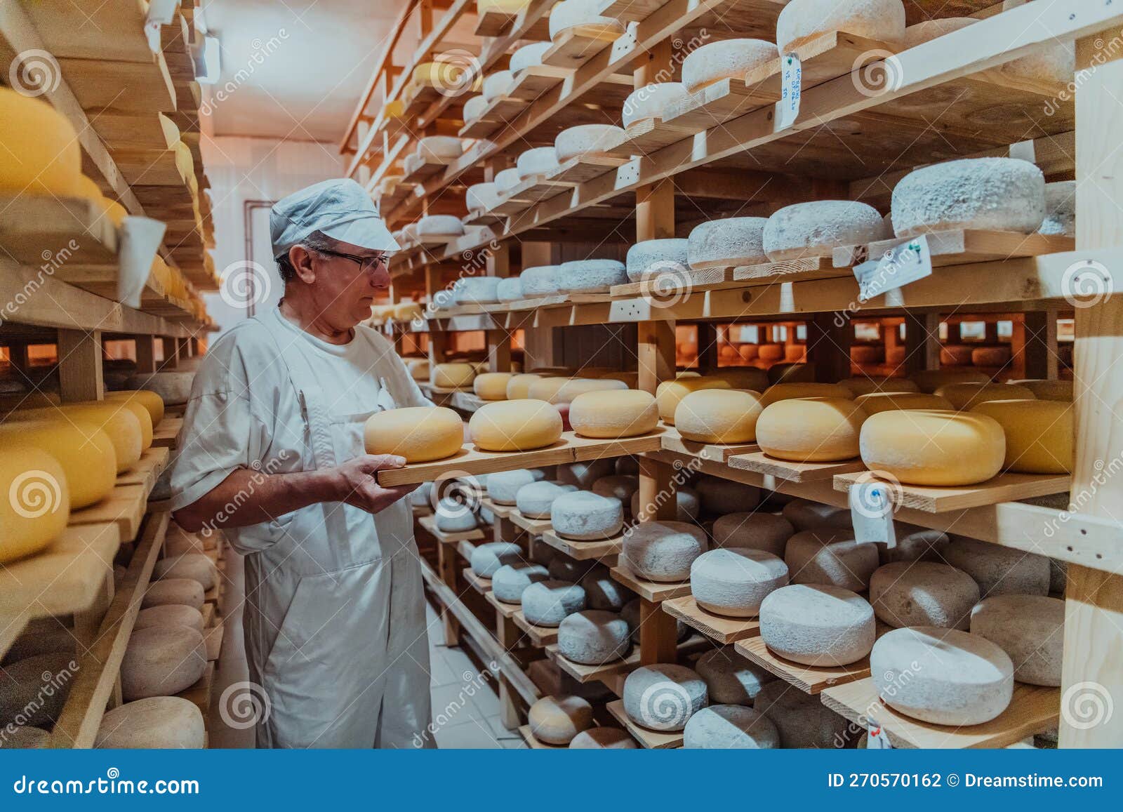 A Worker at a Cheese Factory Sorting Freshly Processed Cheese on Drying ...