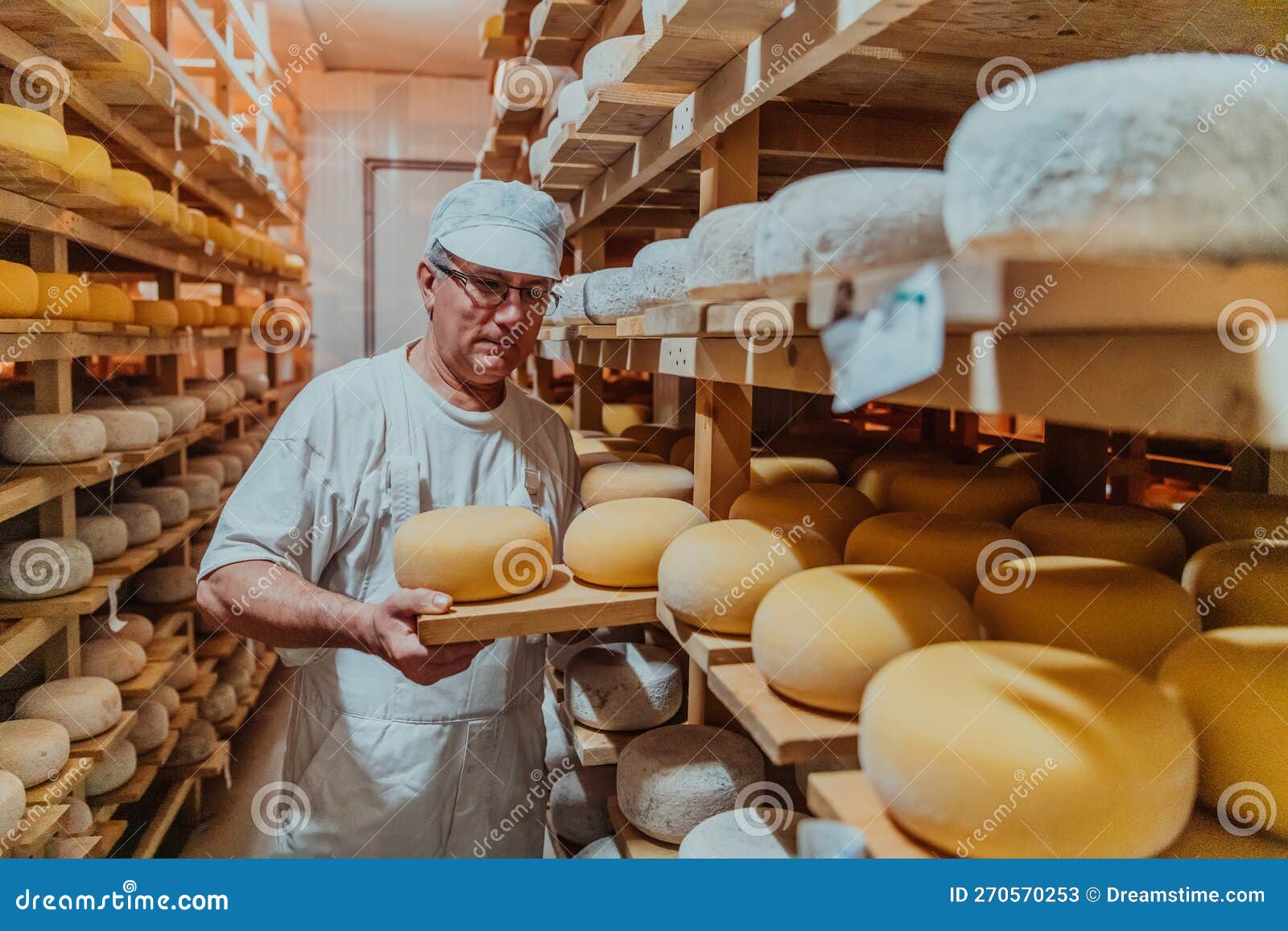 A Worker at a Cheese Factory Sorting Freshly Processed Cheese on Drying ...