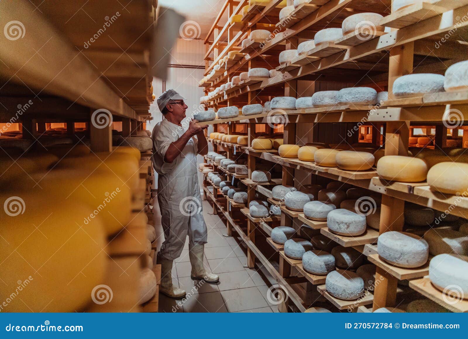 A Worker at a Cheese Factory Sorting Freshly Processed Cheese on Drying ...