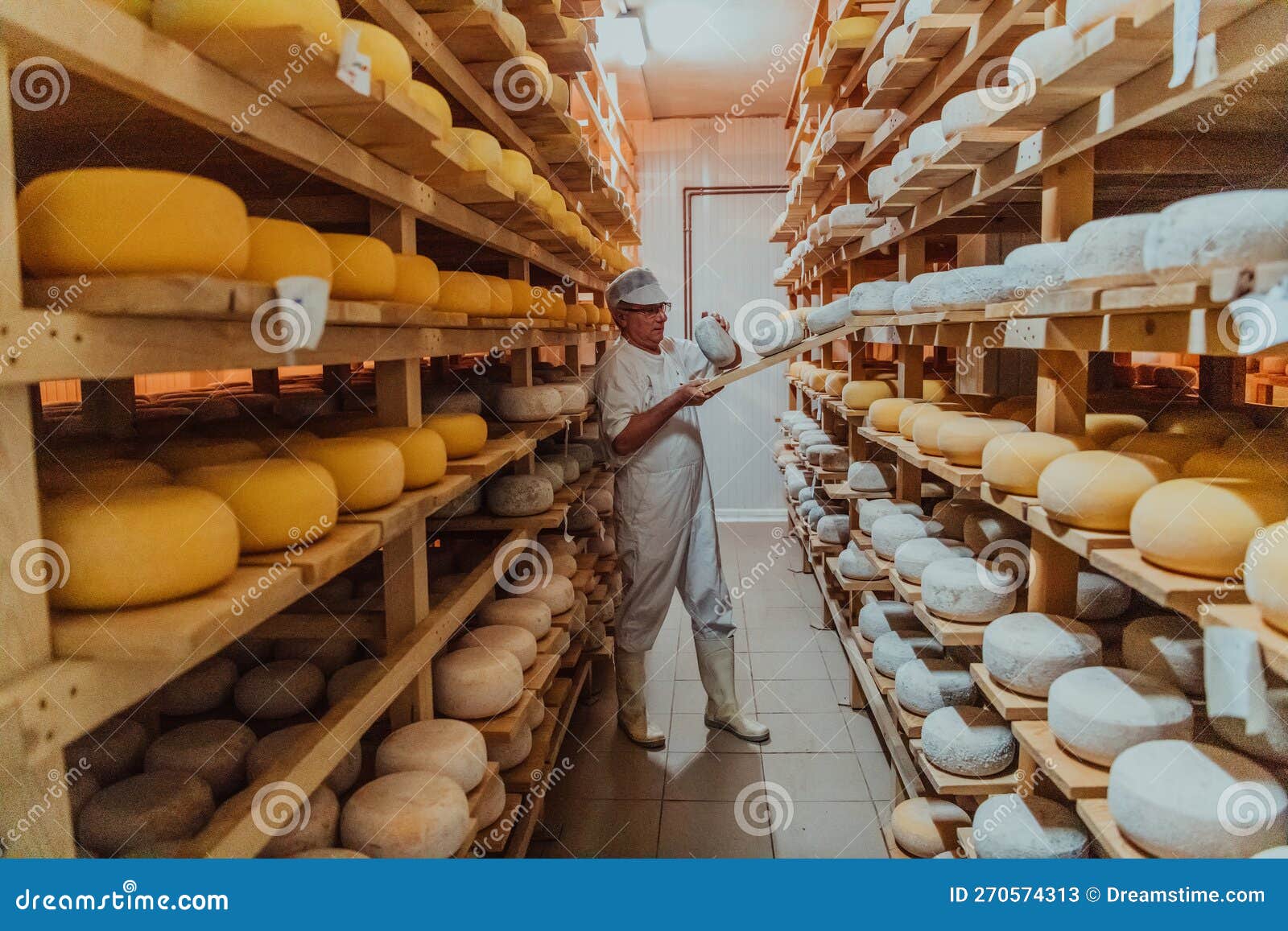 A Worker at a Cheese Factory Sorting Freshly Processed Cheese on Drying ...