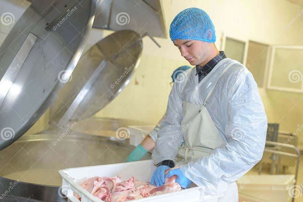 Worker in Chicken Processing Factory Stock Photo - Image of livestock ...