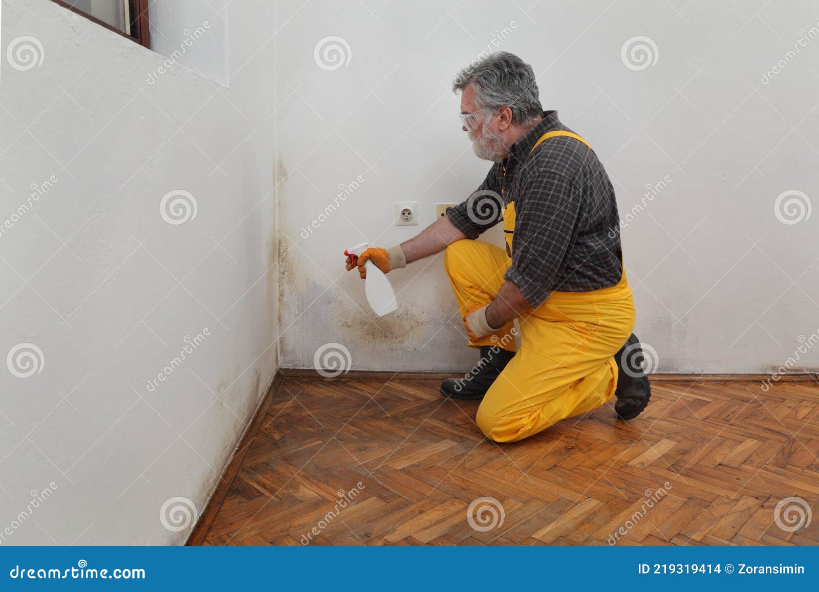 Worker Cleaning Mold from Wall Stock Photo - Image of house, fungus ...