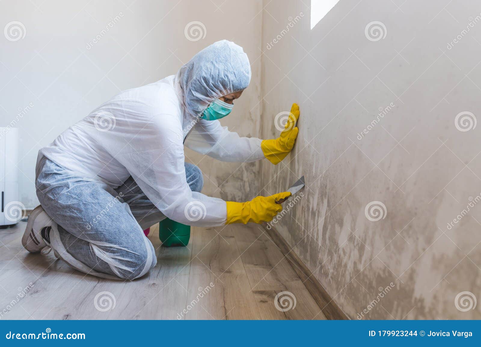 Worker of Cleaning Service Removes the Mold Using Scraper Tool Stock ... Worker of Cleaning Service Removes the Mold Using Scraper Tool Stock ...