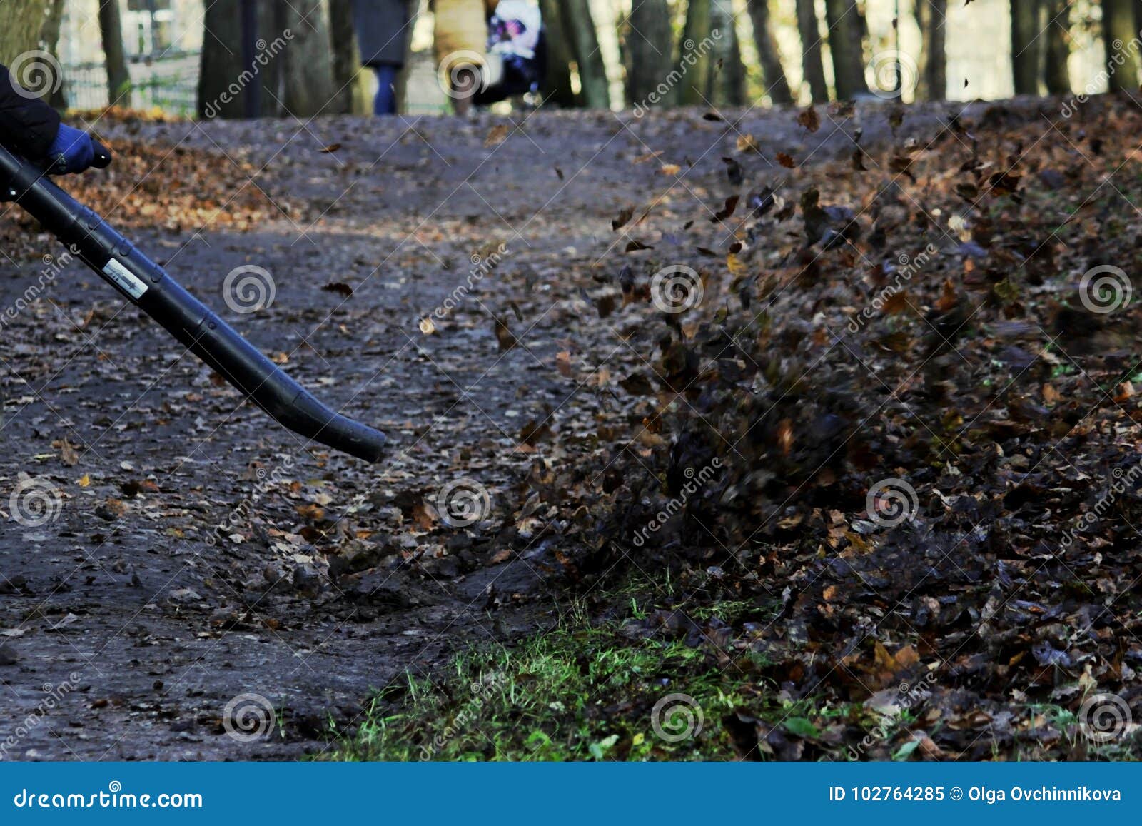 Worker Cleans a Path in the Park from Fallen Leaves Using an Industrial ...
