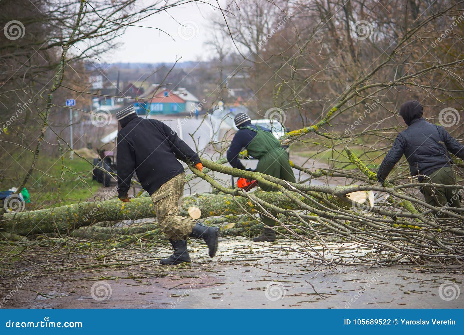 Worker Cuts Fallen Tree on the Road Stock Photo - Image of outdoors ...